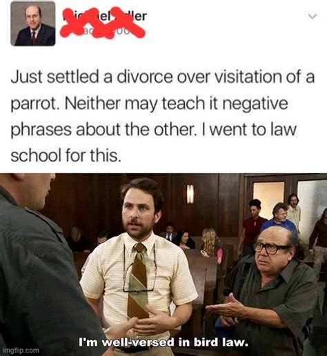 Bird Law Scrolller