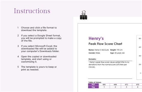 Peak Flow Score Chart Excel Google Sheets Template Net