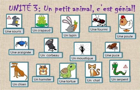 Épinglé sur français