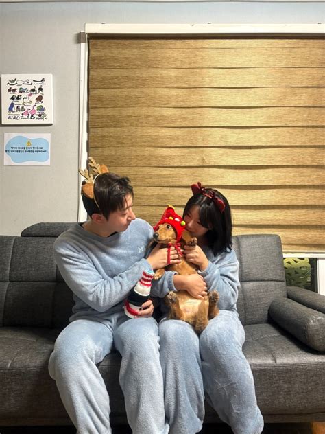 경기도 가평 개별 애견운동장이있는 강아지펜션 가평 멍펜션 네이버 블로그