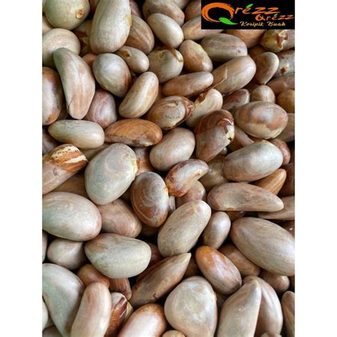 Jual Biji Buah Nangka Beton Nangka 1 Kg Shopee Indonesia