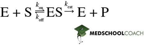 Michaelis Menten Kinetics Mcat Biochemistry Medschoolcoach