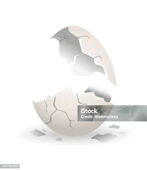 금이 간 계란 달걀 껍질 균열 단계 깨진 달걀 껍질과 현실적인 닭 계란 깨지기 쉬운 깨진 달걀의 디자인 요소 가금류에 대한 스톡