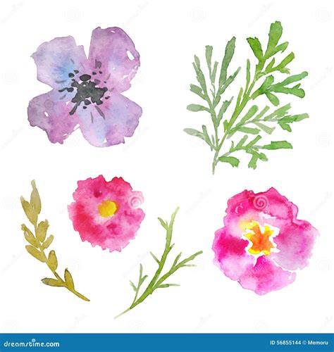 Flores Pintadas A Mano De La Acuarela Sistema De Plantas únicas Stock