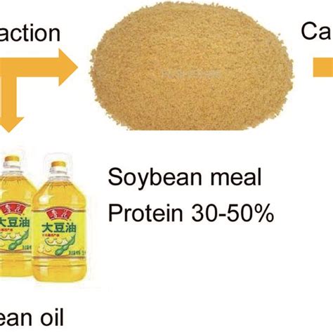 The Synthesis Of Nitrogen Doped Porous Carbon From Soybean Meal Download Scientific Diagram