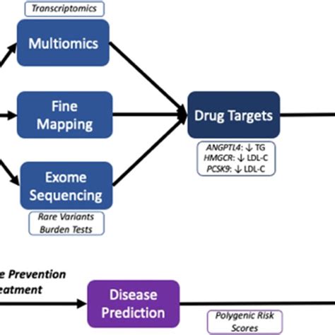 A Workflow For Drug Discovery This Diagram Demonstrates A General