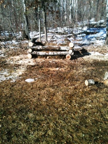 Free Compost Container Crystal Rayne