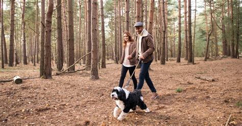 33 Best First Date Ideas Good Ideas For A Low Key First Date