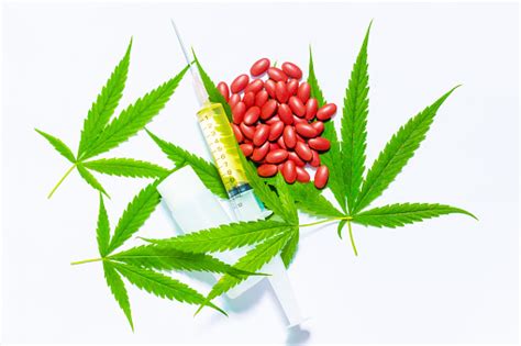 大麻在白色背景 大麻葉分離物 草藥 藥物 血清 注射器與大麻葉在白色背景 照片檔及更多 上癮 照片 上癮 上癮者 健保和醫療 Istock