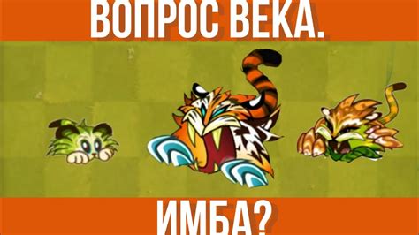 Обзор растения "Тигровая Трава" #1 - YouTube