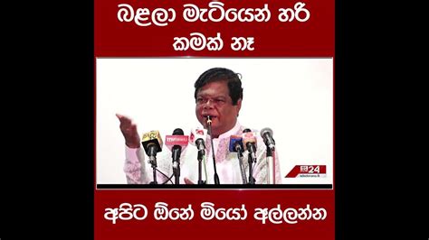 බළලා මැටියෙන් හරි කමක් නෑ අපිට ඕනේ මියෝ අල්ලන්න Youtube