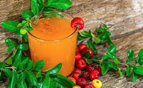 Suco de caju 10 receitas e 7 benefícios para você