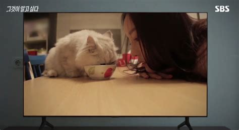 구하라 사망 후 금고 훔친 범인 몽타주 버닝썬과 연관성 그알 [종합]