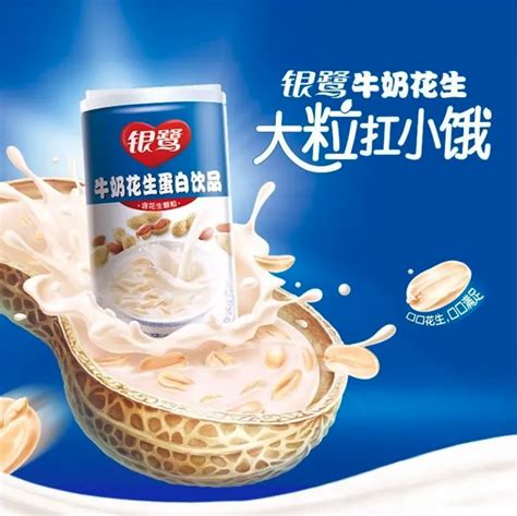 银鹭 花生牛奶复合蛋白饮品 360g 罐（12）
