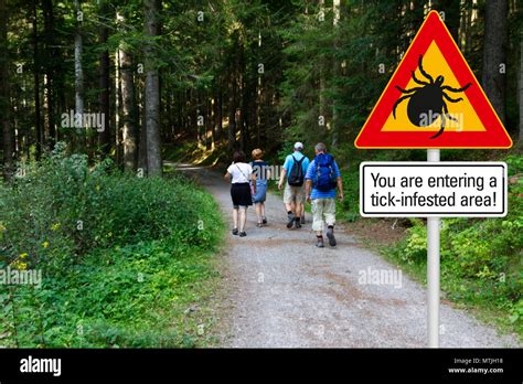Warning Sign Beware Of Ticks In Infested Area In The Green Woods With Hikers Stock Photo Alamy