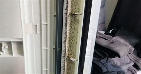 합리적인 가격으로 친절하게 진행 과정도 설명해주시고 무엇보다 심각한 상태였던 에어컨을 정말 깔끔하게 청소해주셨습니다 뒷처리까지 너무 깨끗하게 해주시고 가셔서 정말 감사했고