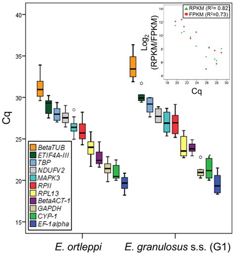 Assessment Of Transcript Abundance And Comparison With Rna Seq