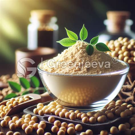 Bulk Organic Soy Lecithin Powder Supplier In Canada