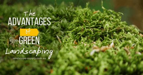 The Major Advantages Of Green Landscaping Organic Compost