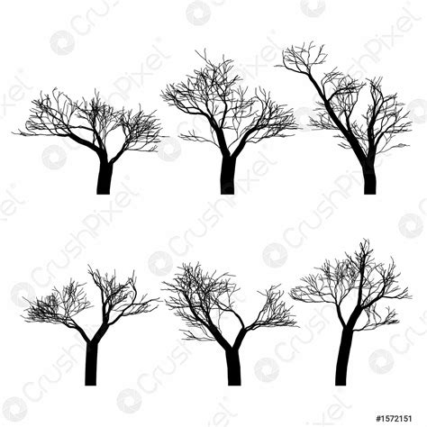 Set Of Black Naked Trees Silhouette Set Hand Drawn Isolated Stock Vector Crushpixel