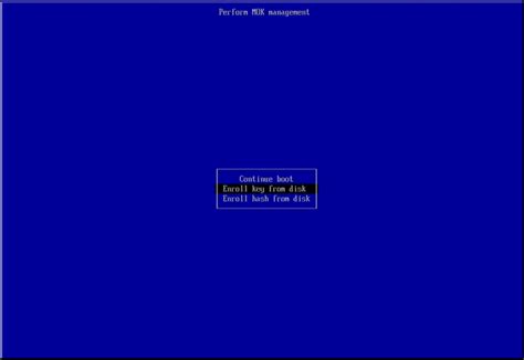 Setting Up Secure Boot In Arch Based Distributions Tutorials Resources It S FOSS Community