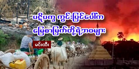 Dvb ပဋိပက္ခကွင်းပြင်ပေါ်က မြေစာမြက်တို့ရဲ့ဘဝများ သတင်းဆောင်းပါး