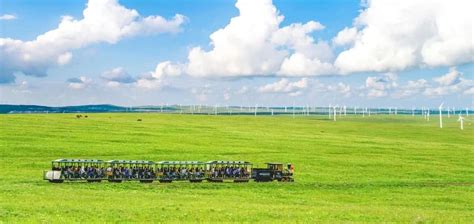 61儿童节 童心飞扬、快乐加倍！ 景区新闻 新闻中心 黄花沟—内蒙古黄花沟—辉腾锡勒草原黄花沟景区官方网站
