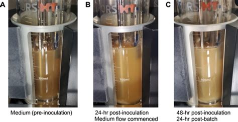 The Robogut A Bioreactor Model Of The Human Colon For Evaluation Of