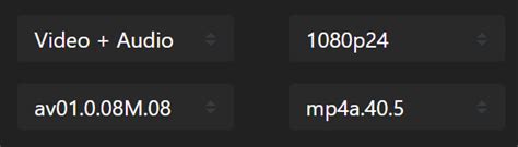 Ver 240 Error Unhandled Error · Issue 258 · Jely2002youtube Dl Gui · Github