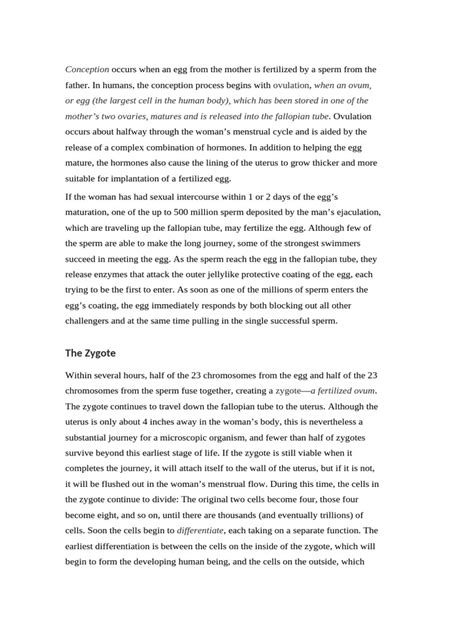 Prenatal Development Notes Pdf Attachment Theory Fetus