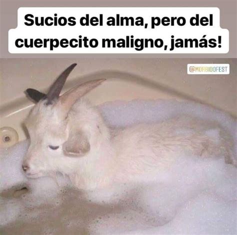 Pin de Estefania Lozano de Santillan en Guardado rápido en 2024 Meme