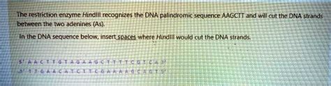SOLVED The Restriction Enzyme Hindll Recognizes The DNA Palindromic