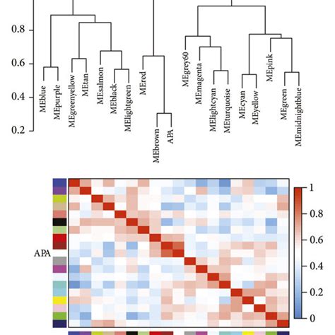 Wgcna Analysis Of Combined Datasets A Scale Independence And Mean