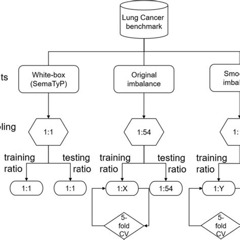 Overview Of The Blgpa Feature Extraction Process Forming The Final