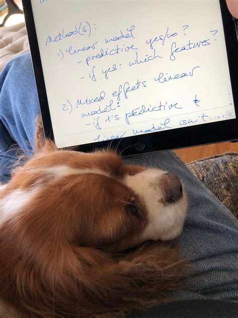 What Computational Linguists Actually Do All Day The Regression Model