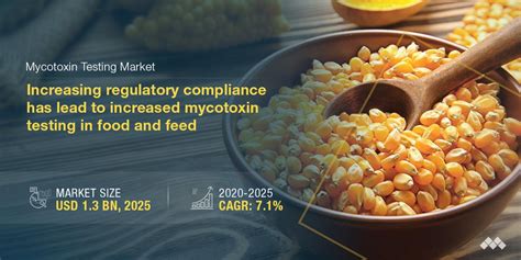 Vibhuti Gupta Posted On Linkedin