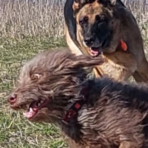 Lenka Lenkiccc Threads Say More