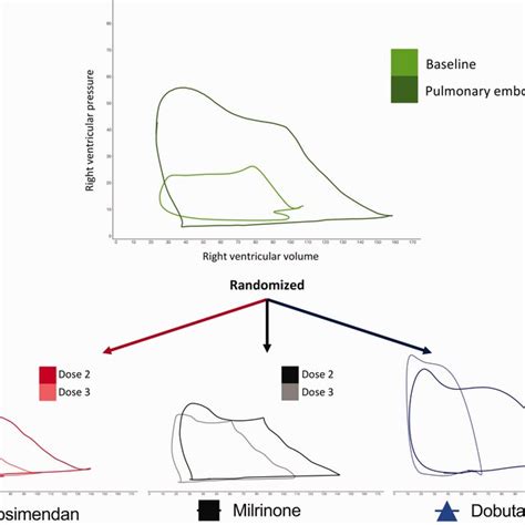 Right Ventricular Pressurevolume Loops Representative Right