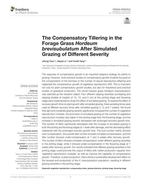 Pdf The Compensatory Tillering In The Forage Grass Hordeum