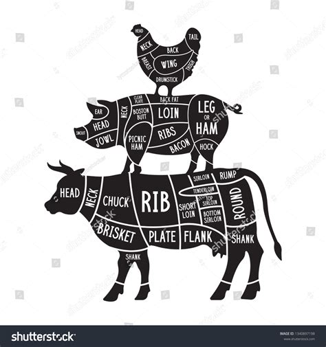 Meat Cuts Set Diagrams Butcher Shop Stock Vector Royalty Free 1340897198