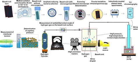 Methodology Flow Chart Including Microbial Activity Sem Analysis Ftir