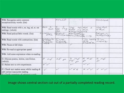 Lesley Clarke Synthetic Phonics Reading Resources