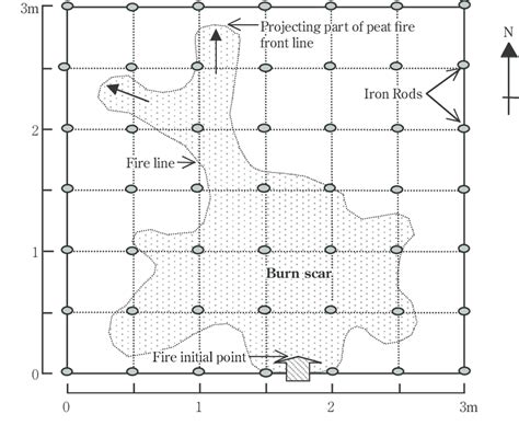 A Typical Horizontal Distribution Of A Burned Surface Peat Layer With Download Scientific
