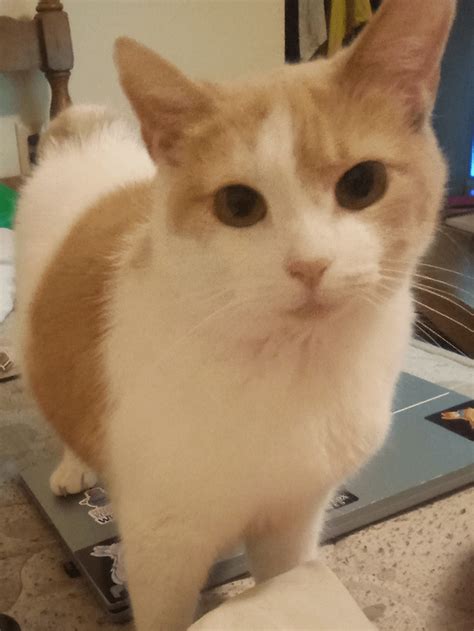 Cold Bubblegum Rbubblegumnose