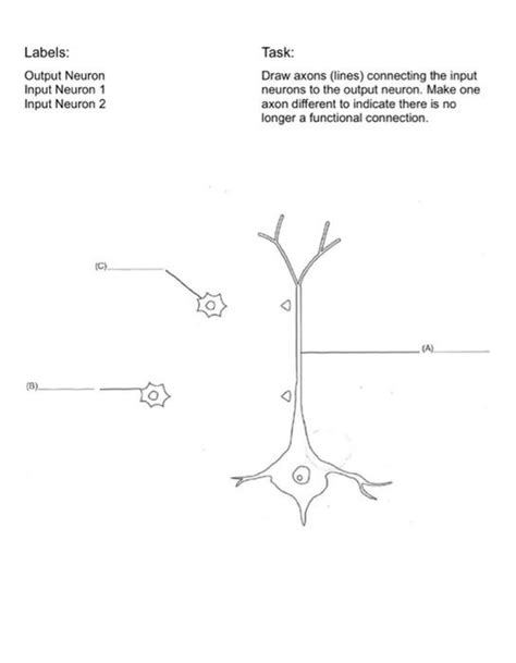 Solved Begin Tabular Ll Labels And Task Output Neuron