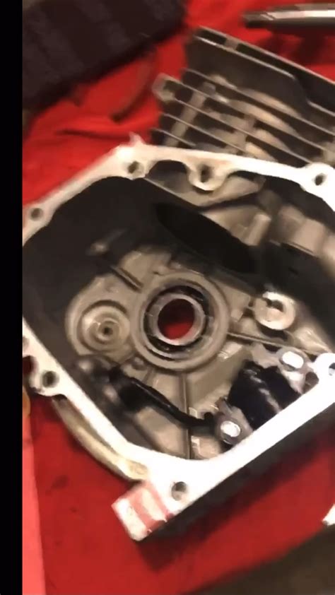 Full Predator 212 Stage 2 Build Rminibikes