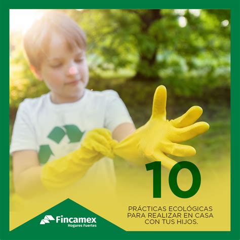 10 PrÁcticas EcolÓgicas Para Realizar En Casa Con Tus Hijos Fincamex
