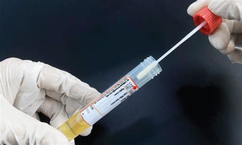 Demo Surface Microbiological Sampling Method Using Cotton Swab G Chem