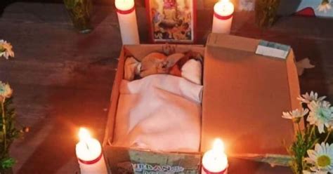 La Emotiva Despedida De ‘ojitos El Funeral De Un Perrito Chihuahueño