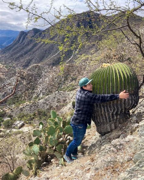 Descubre Los Atractivos De La Reserva De La Biósfera Barranca De Metztitlán